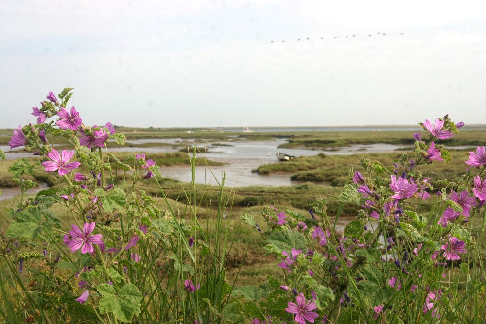 The Norfolk Coast Path, Norfolk | Cool Places