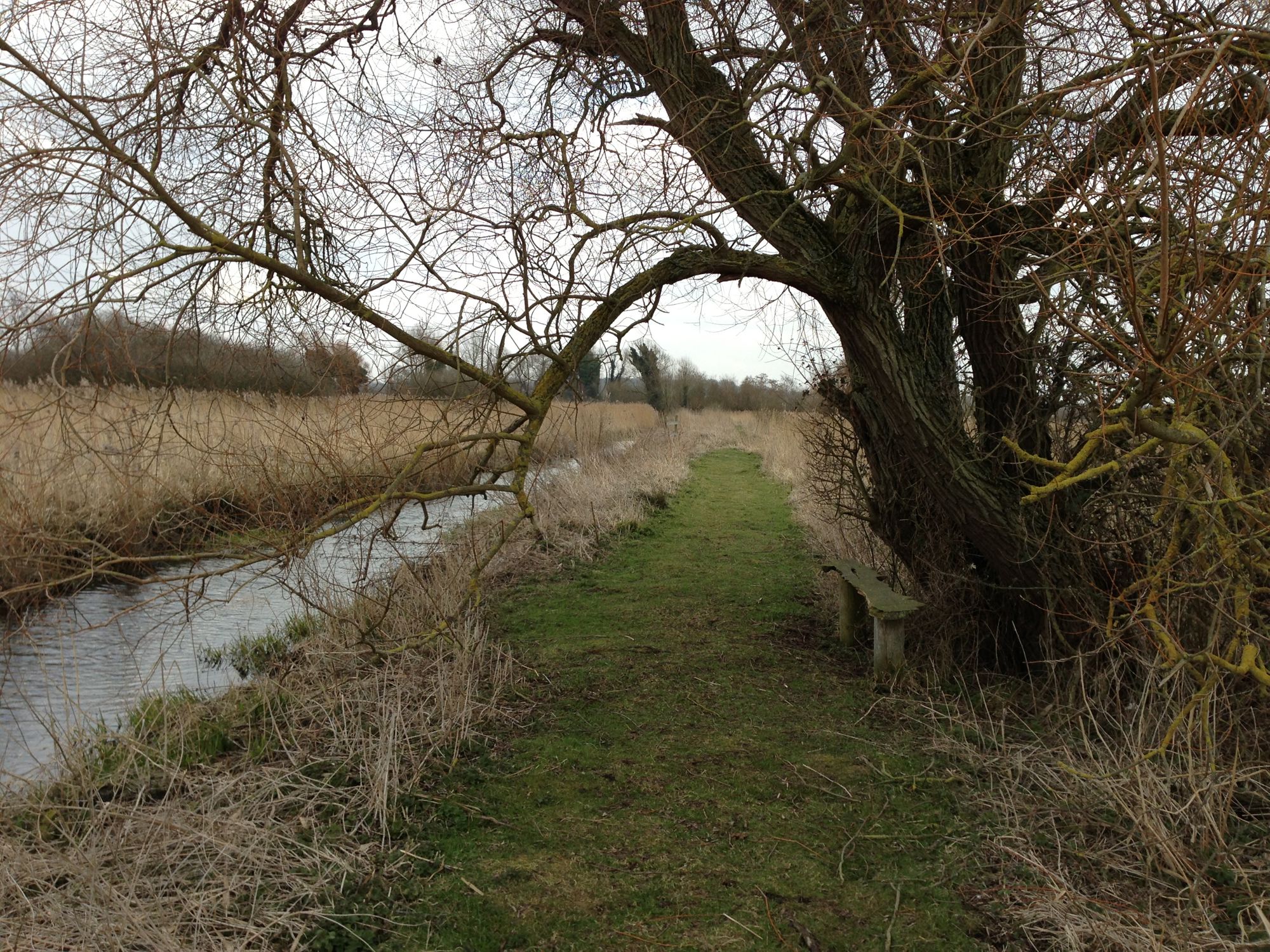 Wheatfen Nature Reserve, Norfolk | Cool Places