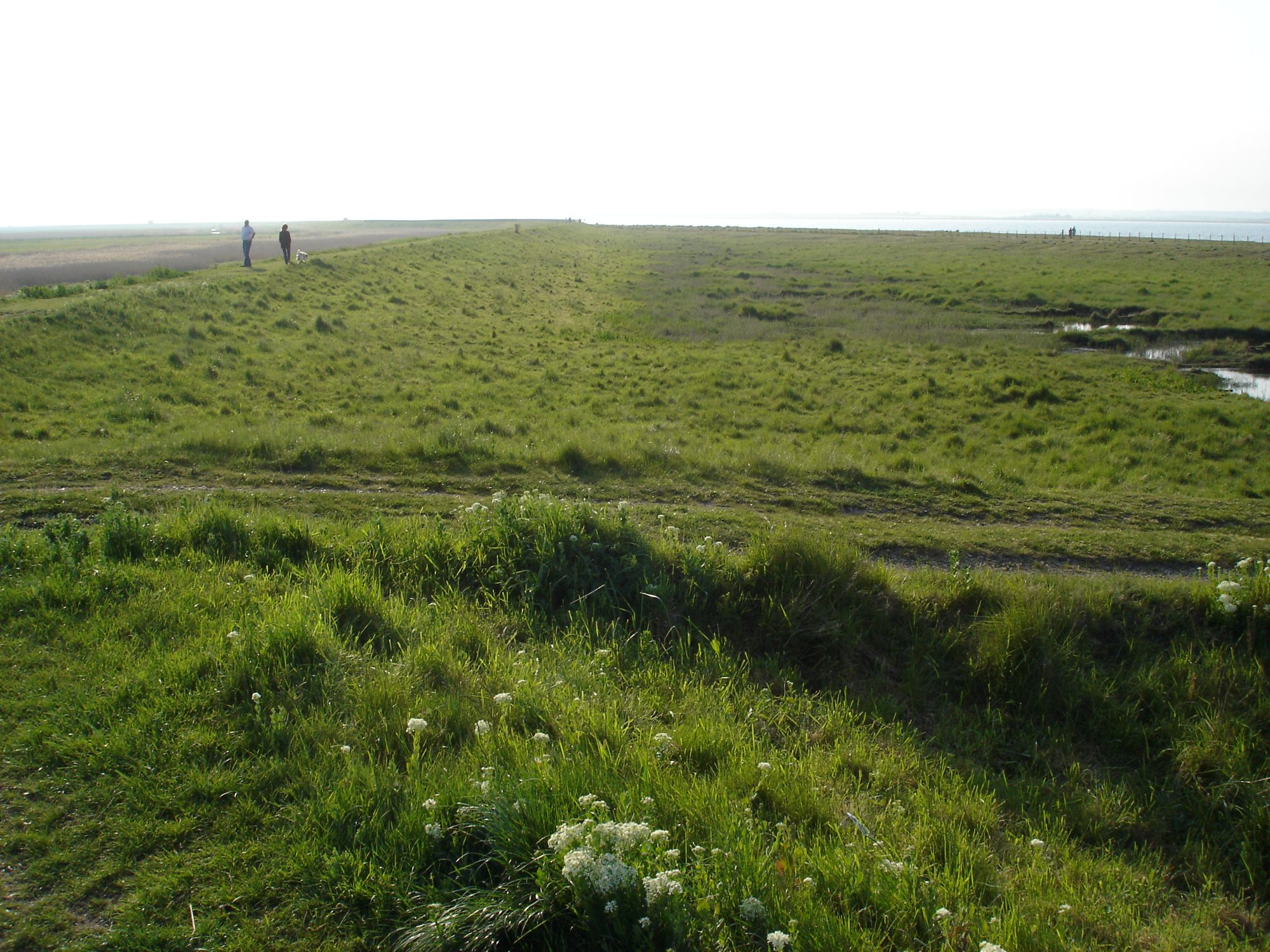 Saxon Shore Way, Whitstable | Cool Places