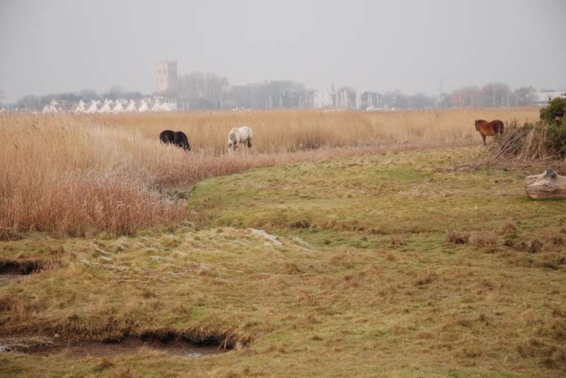 Stanpit Marshes, Hampshire | Cool Places