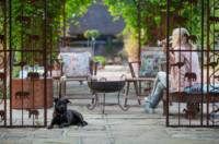 Trading Boundaries, Uckfield