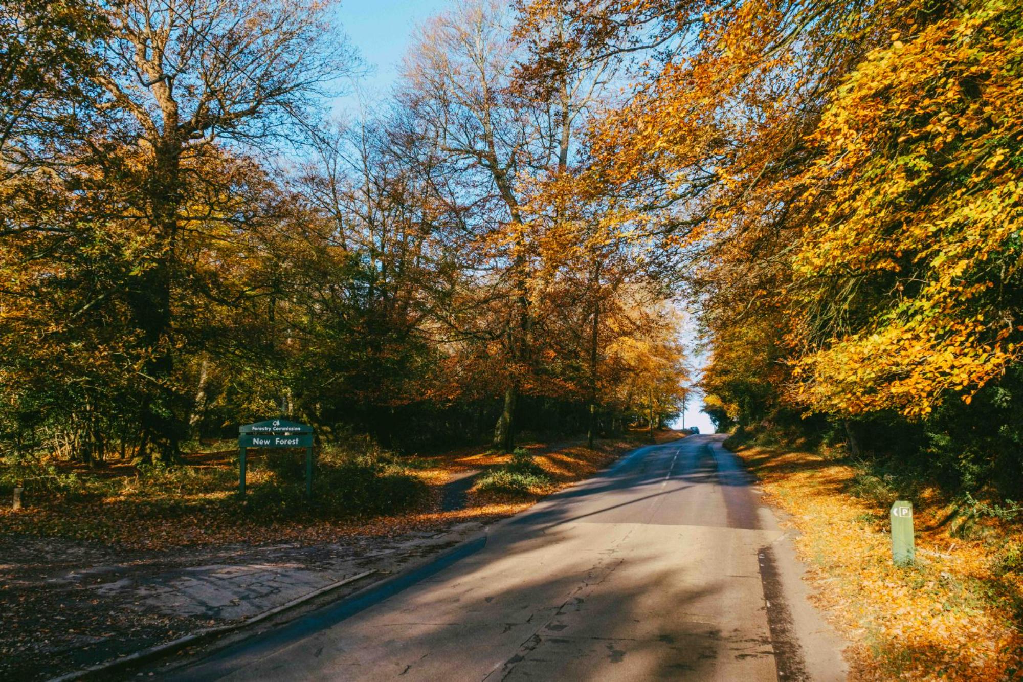 Six Great Autumn Breaks!