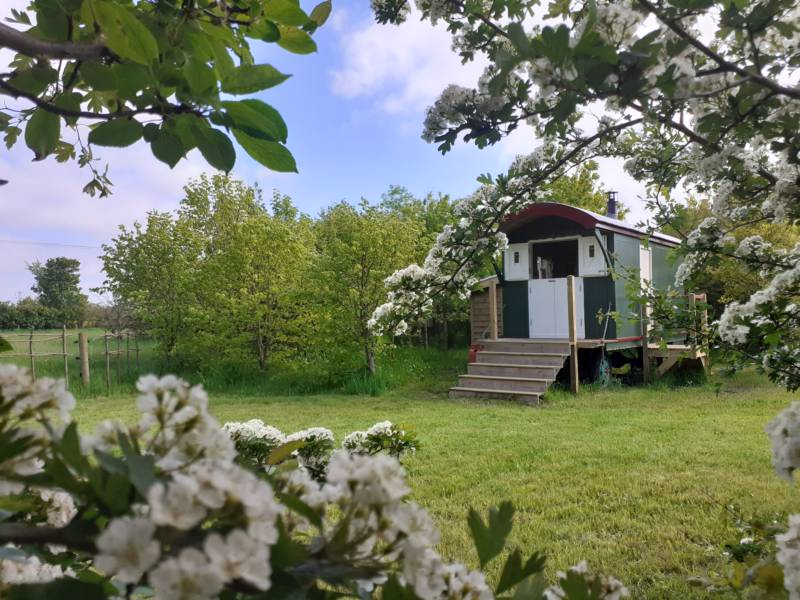 Berry Farm Berry Farm, Clarkes Lane, Ilketshall St Andrew, Norfolk NR34 8HR