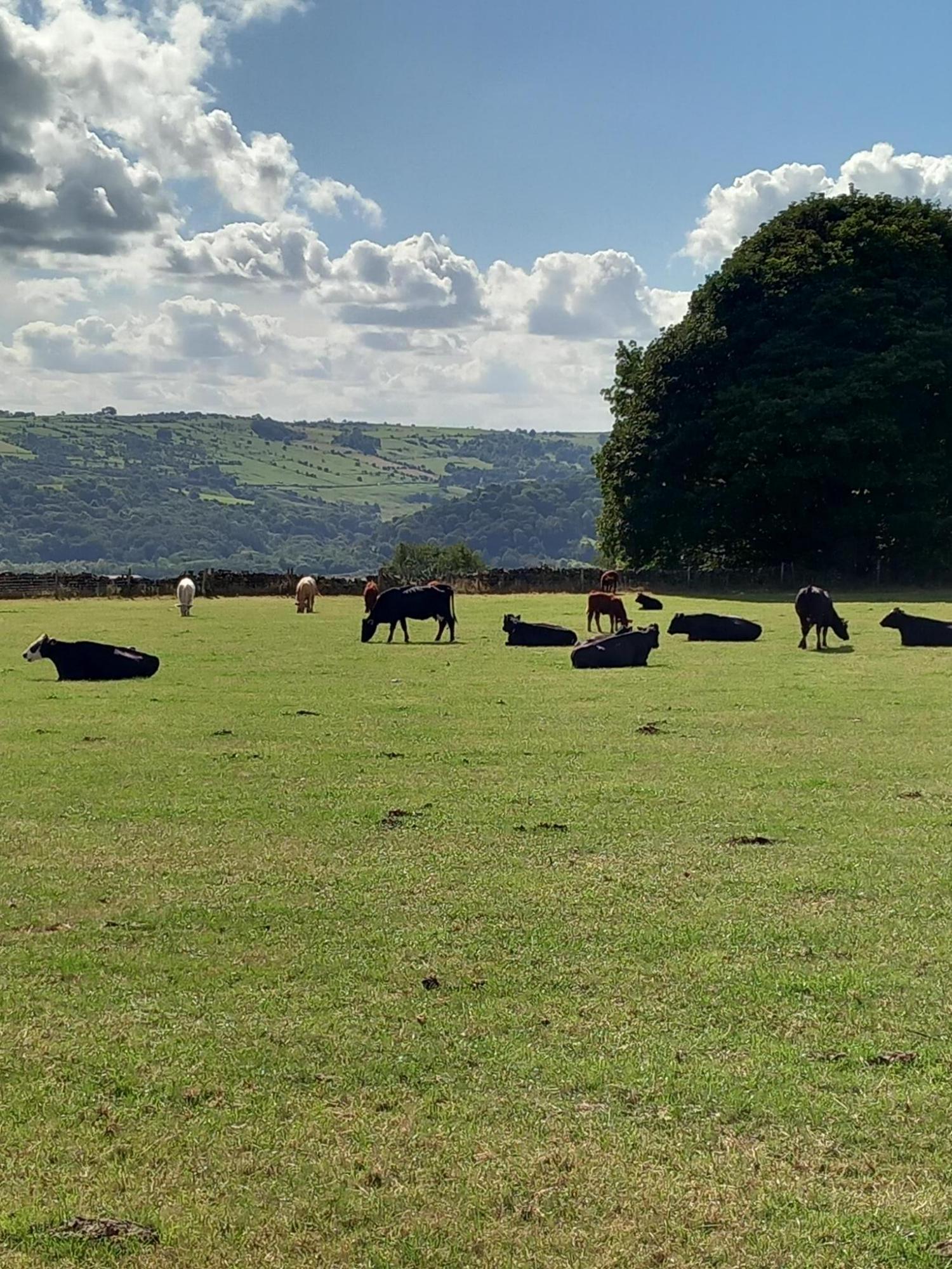 Valley View Glamping, Matlock