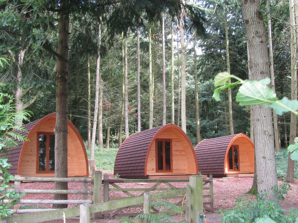 Family Pod No 1 1 at Woodside Country Park - Bedful Web Bookings (2637)