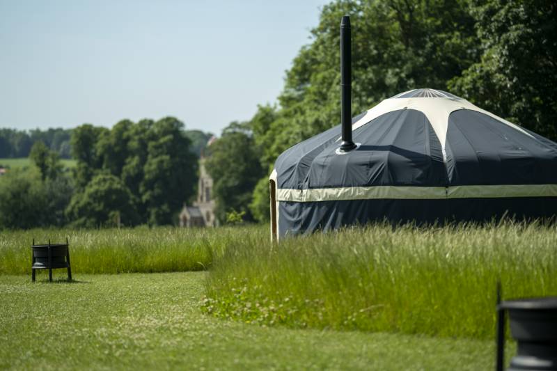 Wild Meadow at the Raynham Estate Lodge Farm, Swaffham Rd, Raynham ...