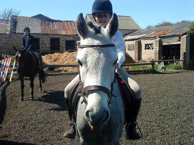 Hill Farm Riding Stables, Isle-Of-Wight | Cool Places