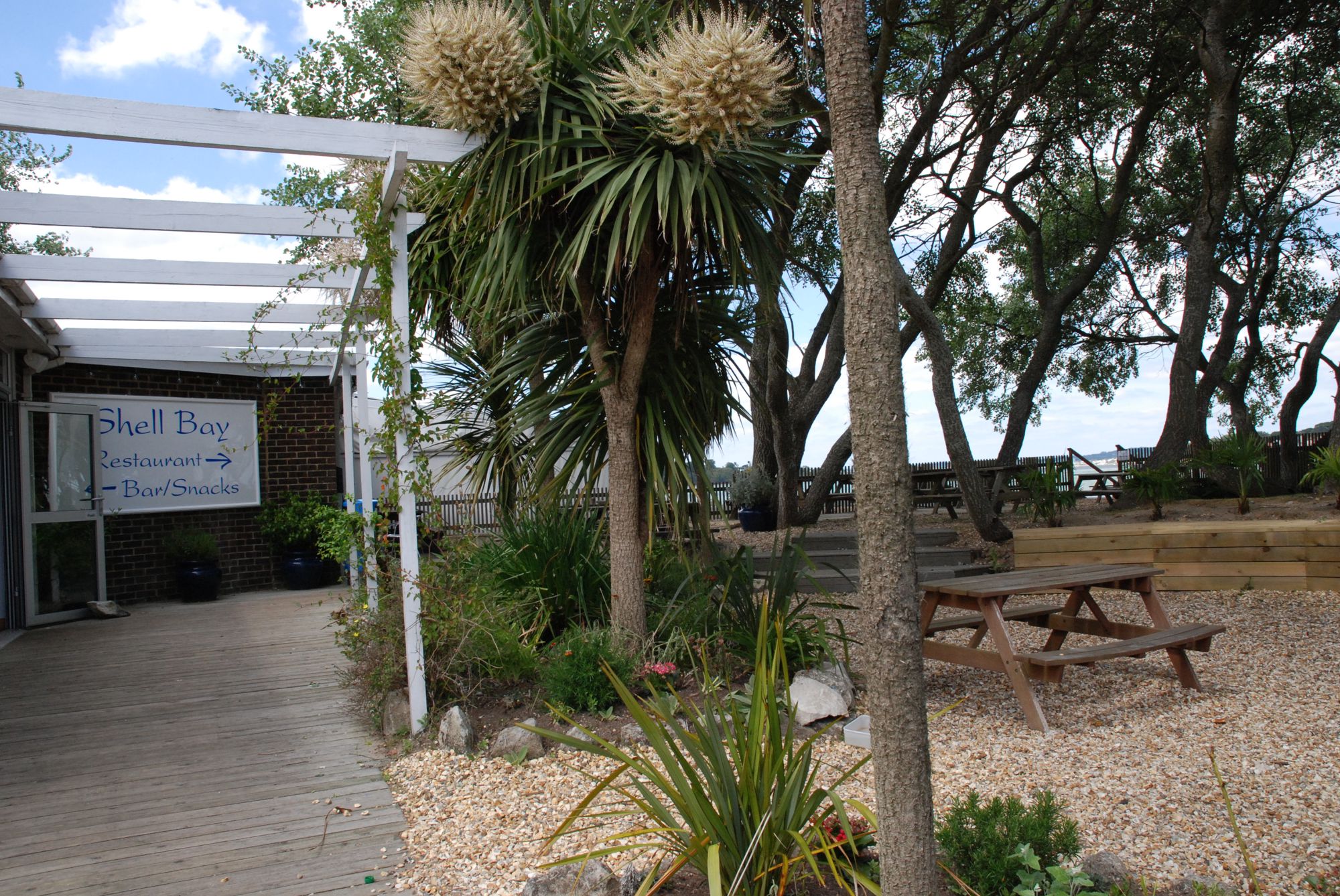Shell Bay Seafood Restaurant, Dorset | Cool Places
