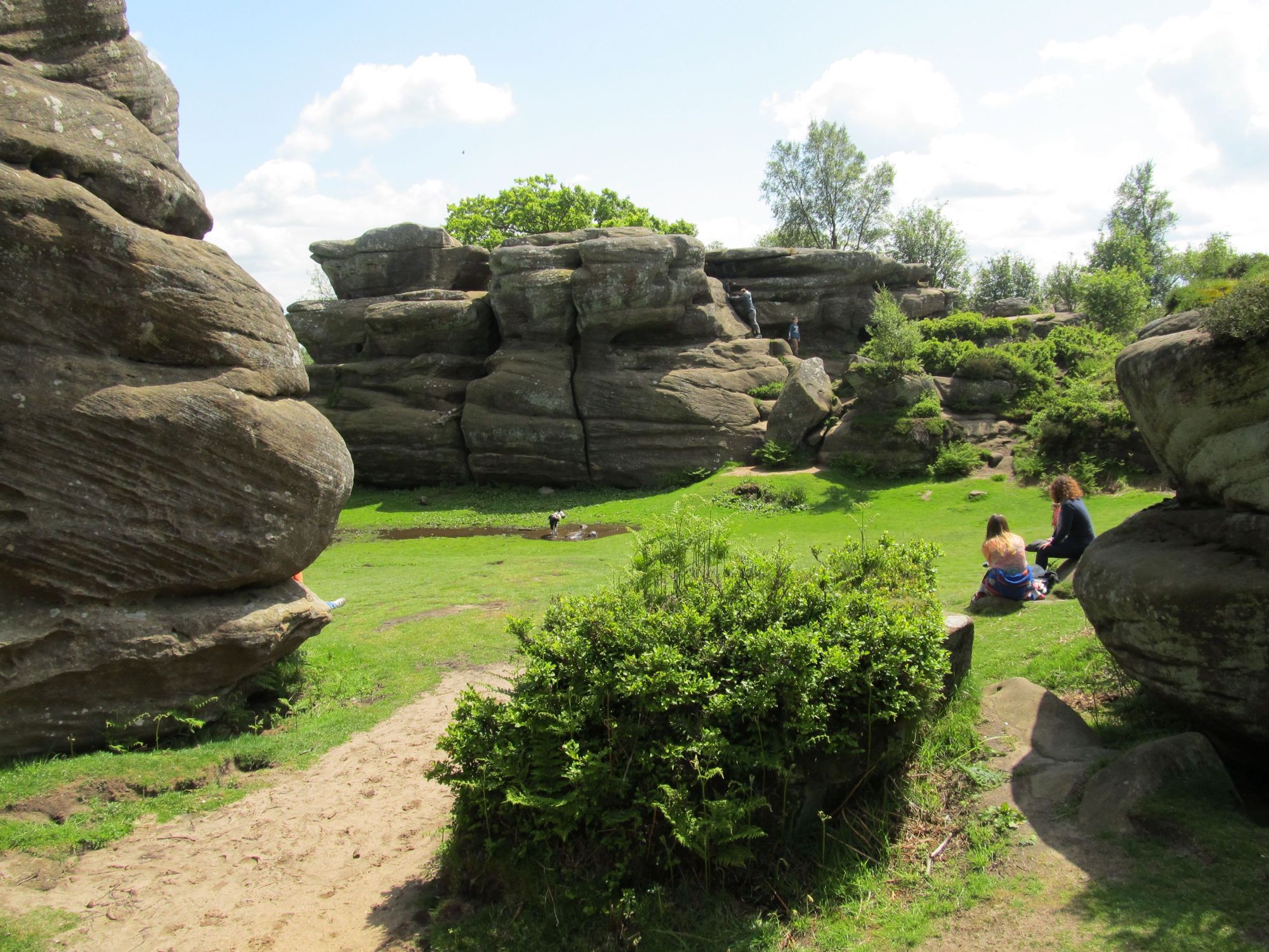Brimham Rocks, Nidderdale | Cool Places