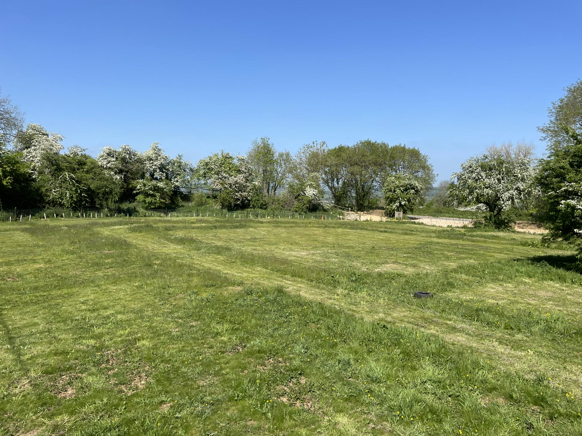 Grass Pitch 1 19 at The Wildings - Bedful Web Bookings (37823)