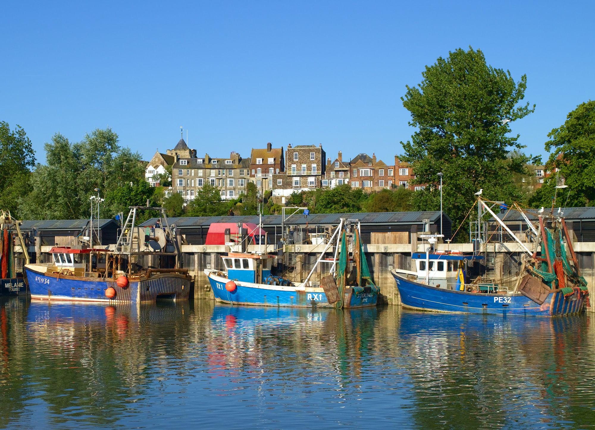 Rye Bay Scallop Week, Rye | Cool Places