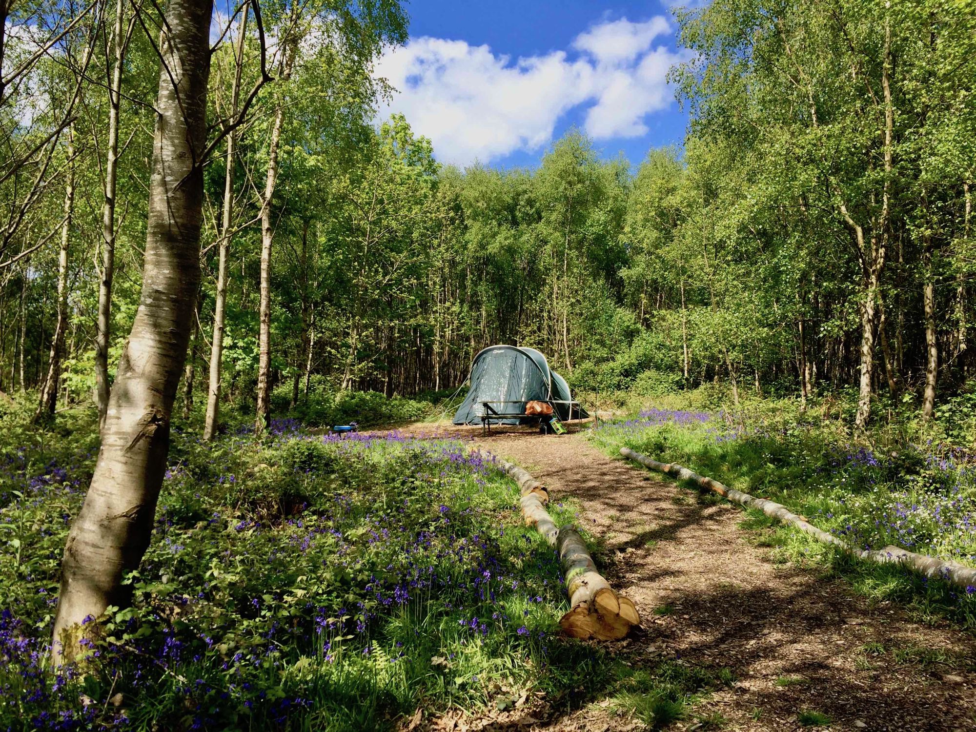 Forest Tent Pitch 11 at Beech Estate Campsite - Bedful Web Bookings (6410)