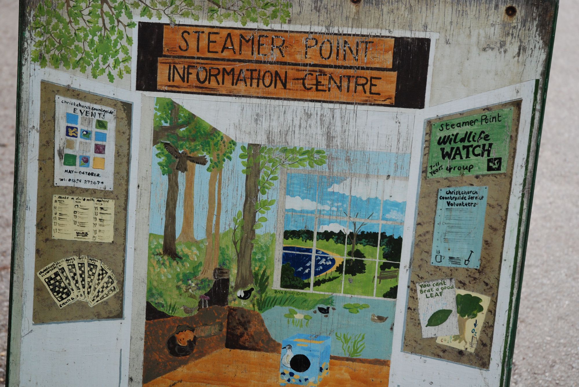Steamer Point Nature Reserve, Dorset | Cool Places