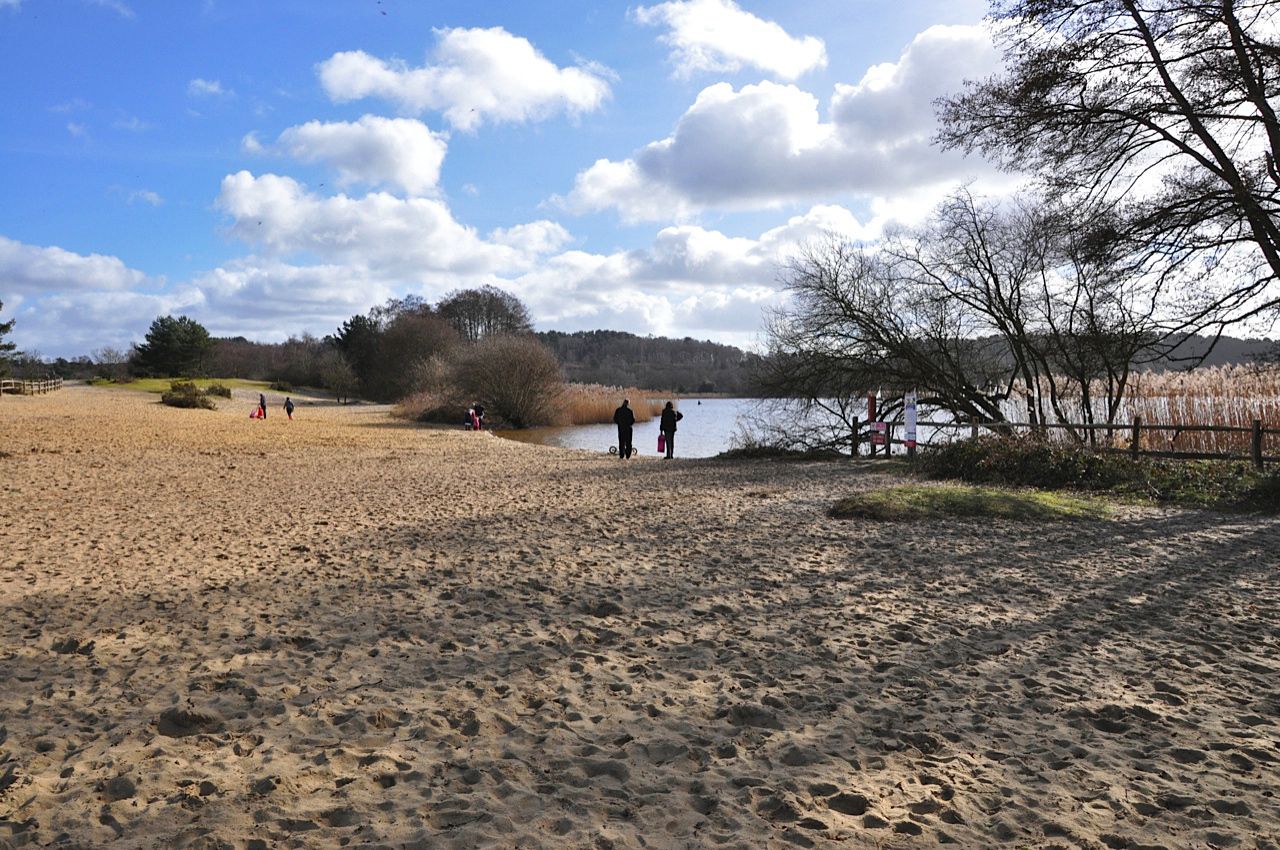 Frensham Common and Ponds, Surrey | Cool Places